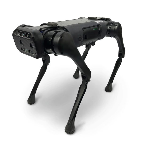 Unitree Robotics: Pioneering the Future of Quadruped Robots