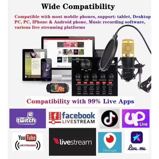 BM800 Condenser Microphone Set with V8 Sound Card for Studio Recording ...